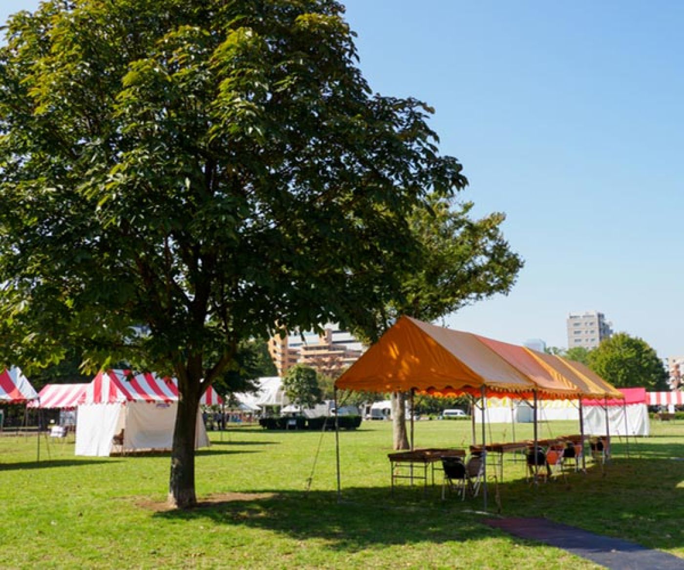 Mamarita's Event Venue - Community and Cultural Event Venue in Pasadena TX